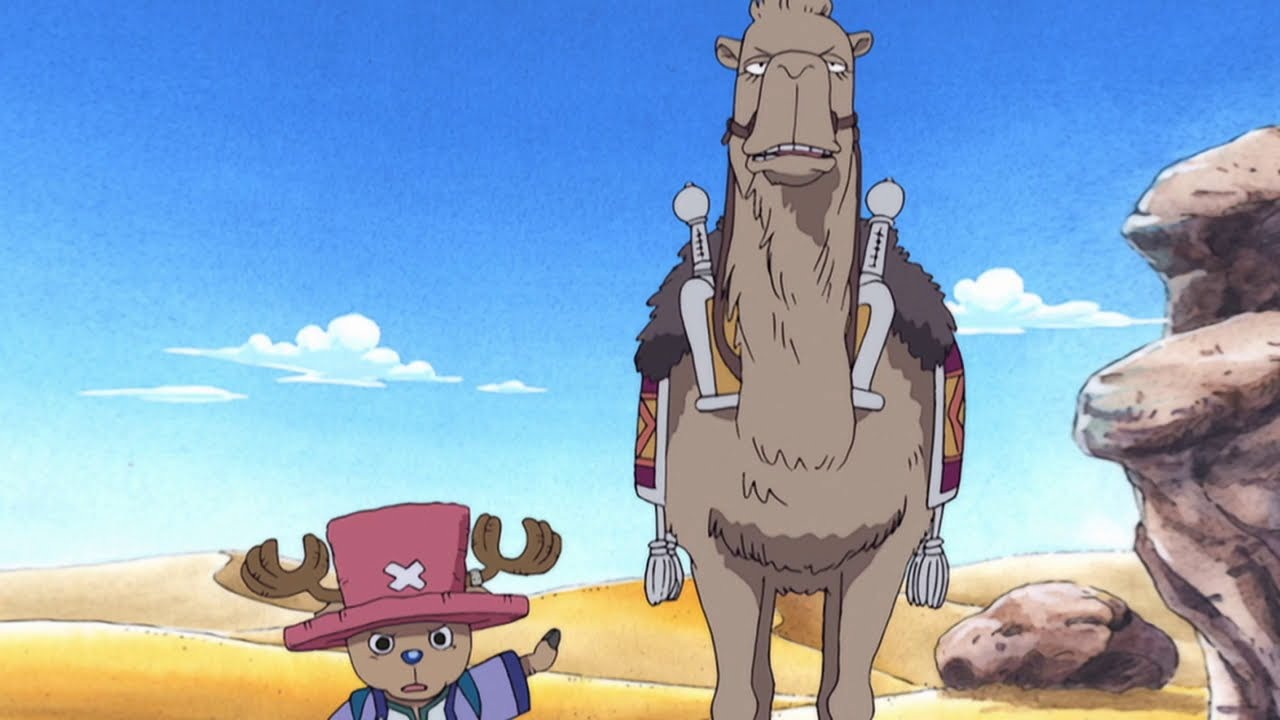 One Piece Camel Matsuge - One Piece Treasure Cruise | English - QooApp ...
