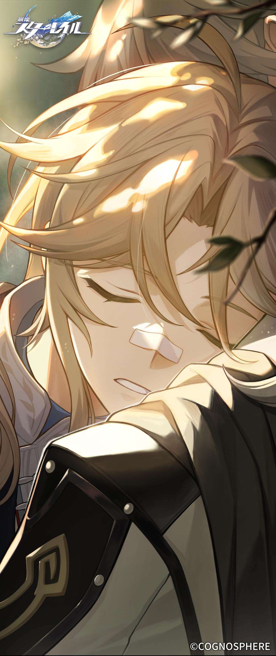 HSR Wallpaper pt2 - QooApp User Notes