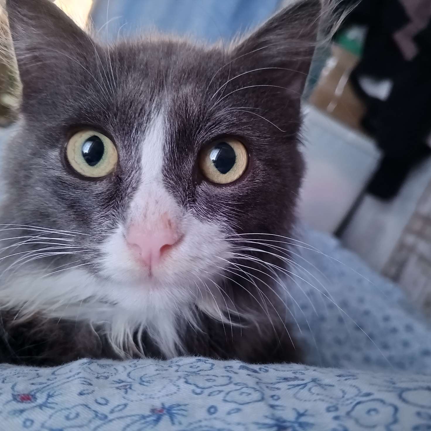 LORDNINE: Infinite Class - (Gift Codes) Gameplay Android Ios | Official ...